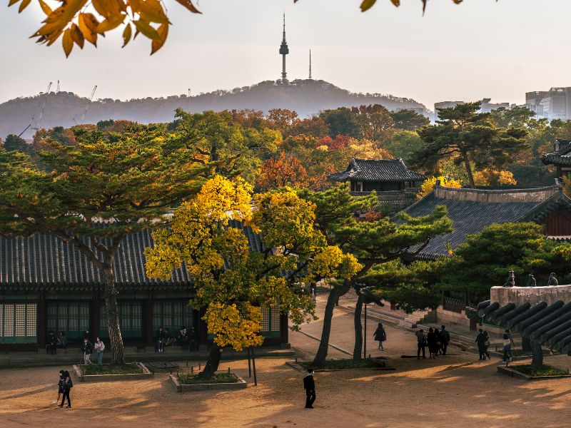 Apa Musim Sepi di Korea? Hemat Budget Mulai 11 Jutaan!