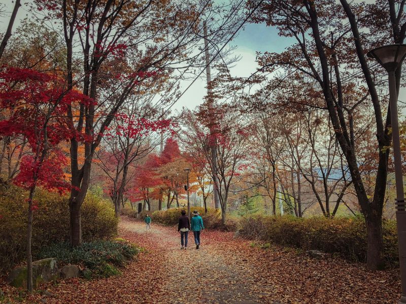12 Rekomendasi Wisata Daegu Korea Favorit Traveler