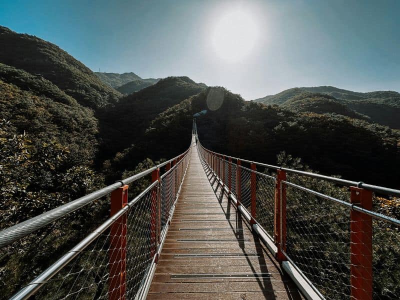 DMZ Korea: Wisata Wajib di Korea Selatan!