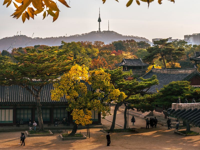 Jung Gu Seoul South Korea: Panduan Wisata & Kuliner