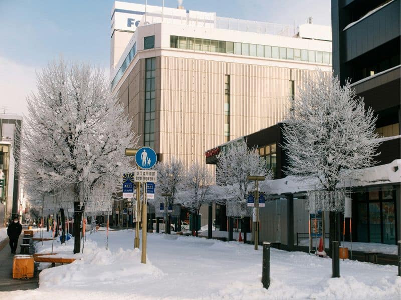 Paket Tour Winter Jepang 2025 – Mulai 15 Jutaan!