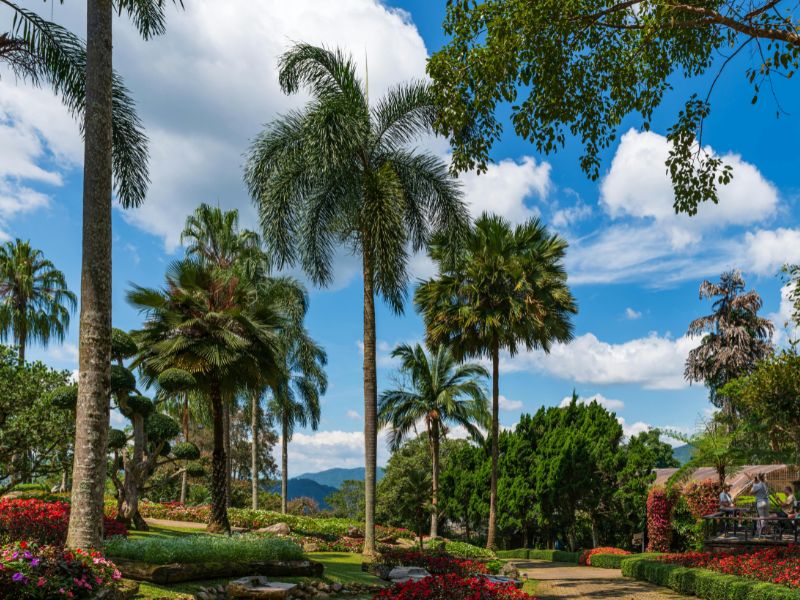 5 Tempat Menarik Betong Thailand yang Wajib Masuk Itinerary!