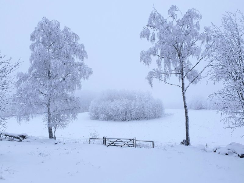 Winter in Perth Australia Mulai 19 Jutaan